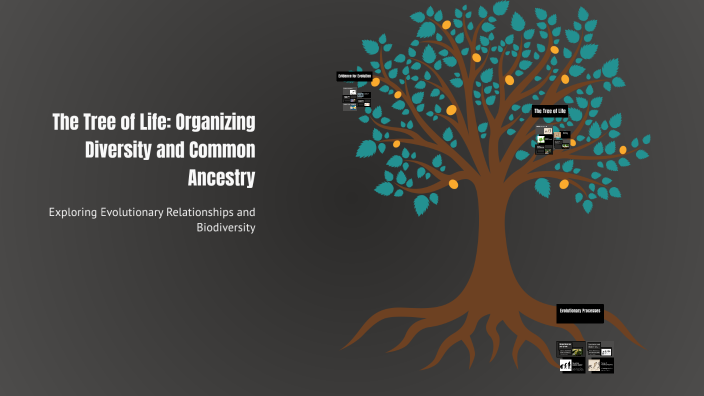 The Tree of Life: Organizing Diversity and Common Ancestry by Tammy ...