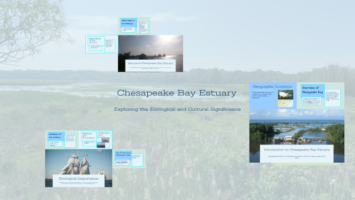 Chesapeake Bay Maryland Estuary by Philip K on Prezi