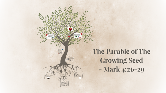 The Parable of The Growing Seed by Sinead McGarry