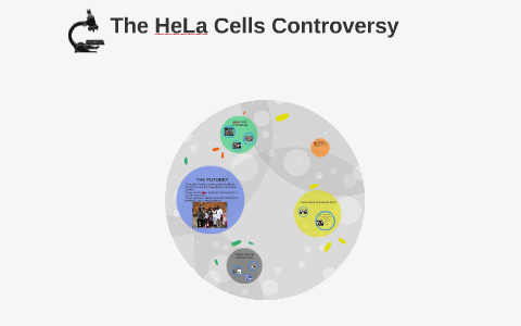 HeLa Cells and Other Ethical Controversies in the World of S by Madison ...