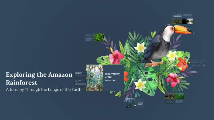 Exploring the Amazon Rainforest by Test User on Prezi