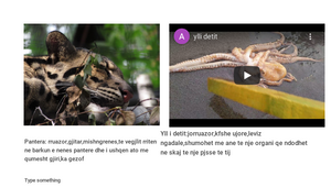 rruazoret dhe jorruazoret by kristina prenga on Prezi Design