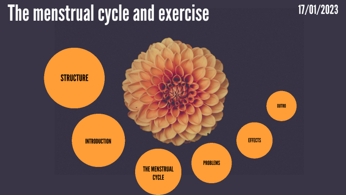 The menstrual cycle and exercise by on Prezi