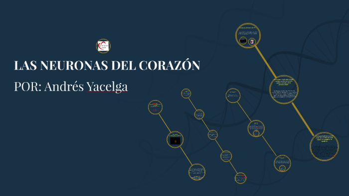 Las Neuronas del Corazón by GHANDY PAGE on Prezi