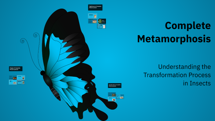 Complete Metamorphosis by REHEMA on Prezi