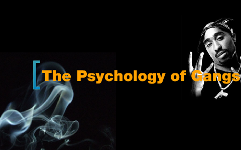 The Psychology of Gangs by Mallory Rotondo on Prezi