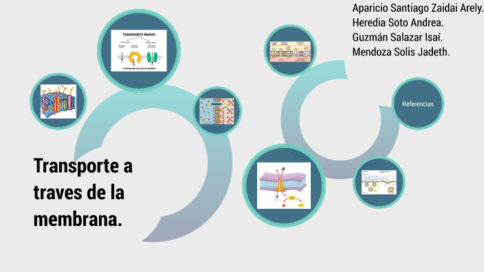 biocel by jadethg mendoza solis on Prezi