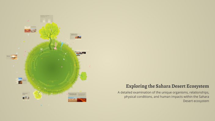 Exploring the Sahara Desert Ecosystem by Ananya Dubey on Prezi