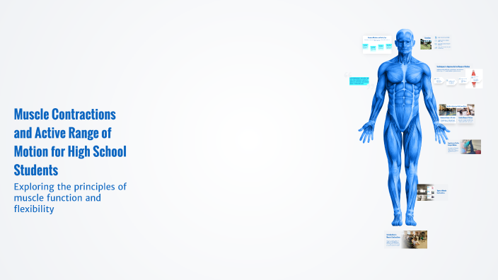 Muscle Contractions and Active Range of Motion for High School Students ...