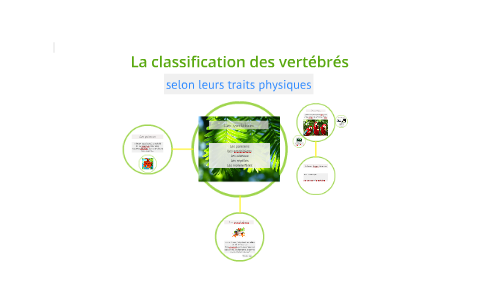 La classification des vertébrés by Eve-Lyne Auger on Prezi