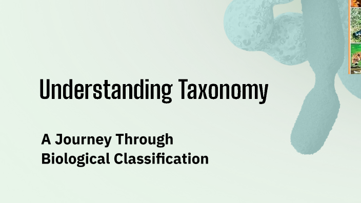 Understanding Taxonomy by Aaron Curran on Prezi
