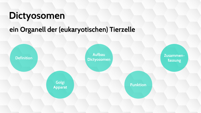 Dictyosomen by nicole schartner on Prezi