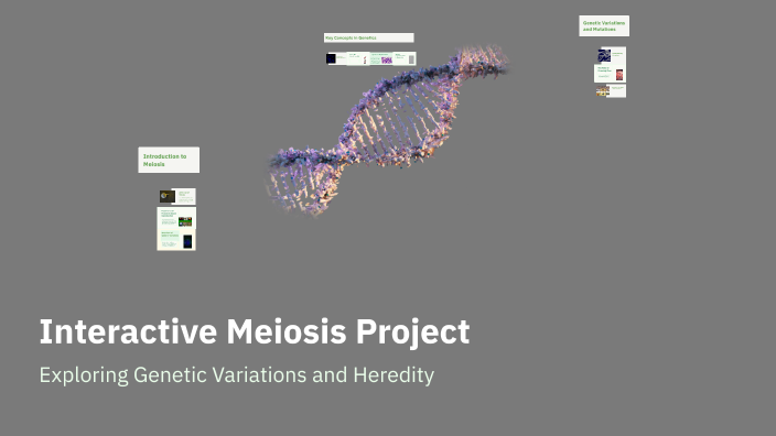 Interactive Meiosis Project by Sal Fileccia on Prezi