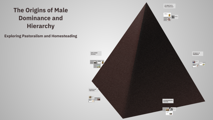 The Origins of Male Dominance and Hierarchy by Emma Alvarado on Prezi