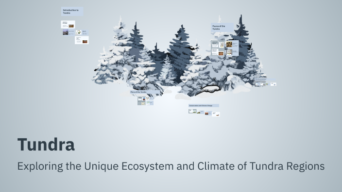 Tundra by robert ricker on Prezi