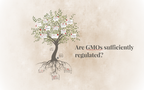 Regulation of GMOs by Nicole Sherman on Prezi