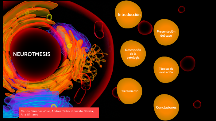 Neurotmesis by carlos sanchez-vilar on Prezi