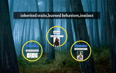 inherited traits,learned behaviors,instinct by alyssa Hayden