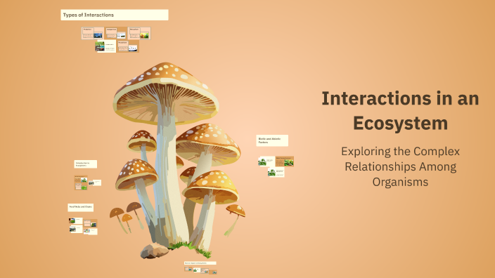 Interactions in an Ecosystem by Joaquin Conwi on Prezi