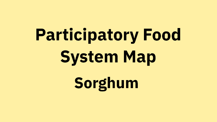 Sorghum by Laura Bentz on Prezi