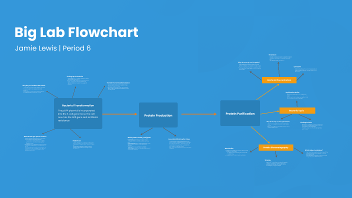 Optimizing Laboratory Processes by Jamie Lewis on Prezi