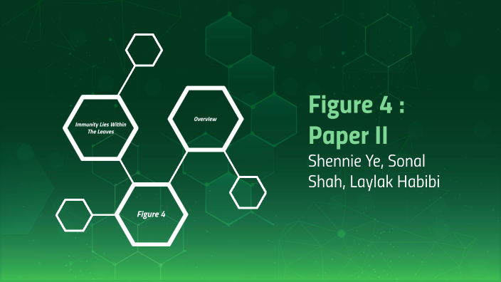 Figure 4 : Paper II Shennie Ye, Sonal Shah, Laylak Habibi by Shennie Ye ...