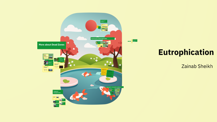 Eutrophication in Aquatic Ecosystems by Zainab Sheikh on Prezi