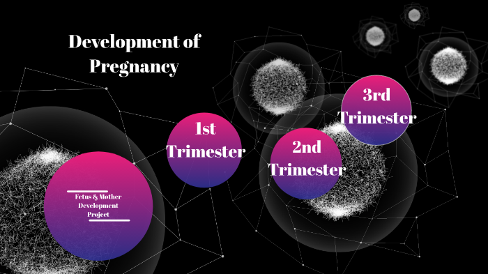 Fetus Development Project by Valeria Lopez on Prezi