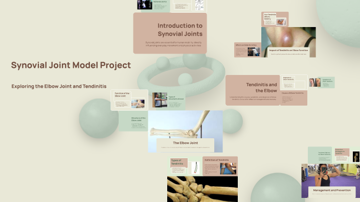 Synovial Joint Model Project by Adelinq Garcia on Prezi