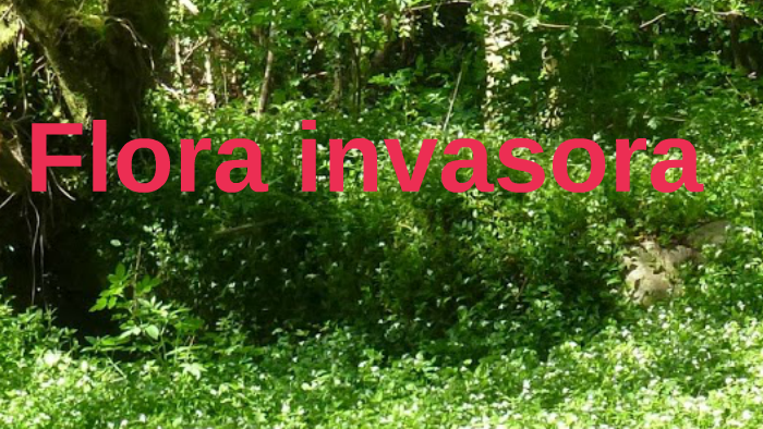 Fauna y Flora invasora by oscar ubierna on Prezi