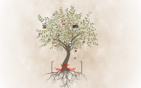 Root Words: Carn by Sarah Pauley on Prezi
