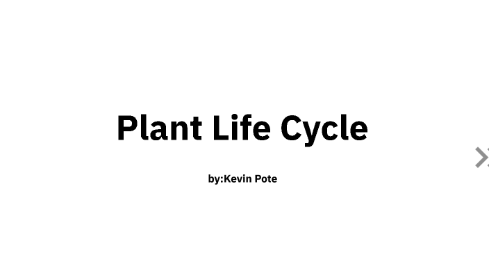 The Plant Life Cycle by Kevin Pote on Prezi