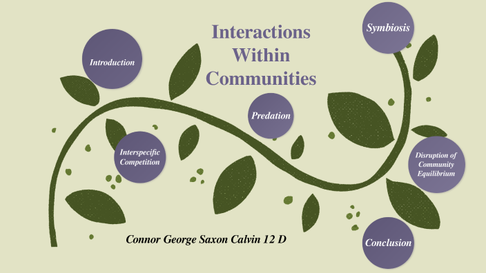Interactions Within Communities by on Prezi