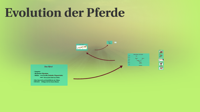 Evolution der Pferde by zelia westpal on Prezi