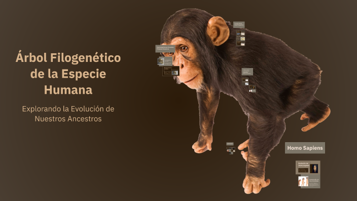 Árbol Filogenético de la Especie Humana by Daniel González Hidalgo on Prezi
