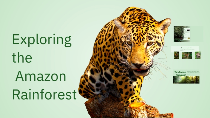 Exploring the Amazon Rainforest: A Three-Step Journey by delilah E on Prezi
