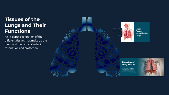 Tissues of the Lungs and Their Functions by Xavier Braulio on Prezi