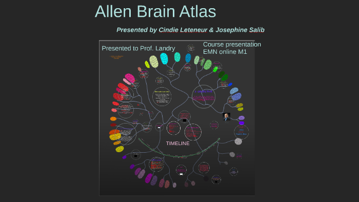 Allen Brain Atlas by Josephine Salib on Prezi