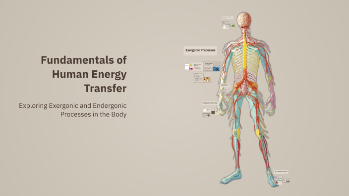 Fundamentals of Human Energy Transfer by nhet cada on Prezi