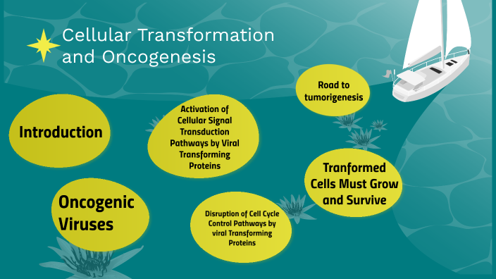 Cellular Transformation and Oncogenesis by Lamija Saric on Prezi