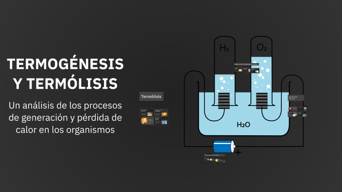 TERMOGÉNESIS Y TERMÓLISIS by Ivonne Labarthe on Prezi