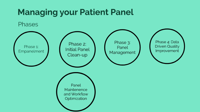 Panel Phases by Delrae Fawcett on Prezi