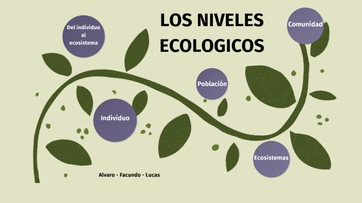 LOS NIVELES ECOLOGICOS by Paula Alvarez on Prezi