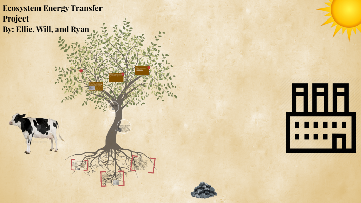 Ecosystem Energy Transfer Project by sean kish on Prezi