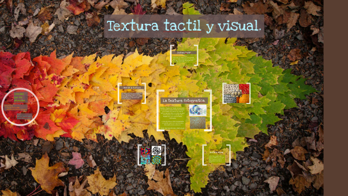 Textura tactil y visual. by saul cuevas rocha on Prezi