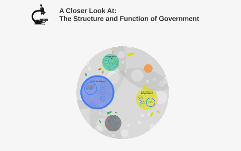 Structure and Function of Government by Caleb Giovannelli on Prezi