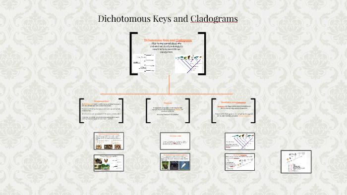Dichotomous Keys and Cladagrams by Jake Brown on Prezi