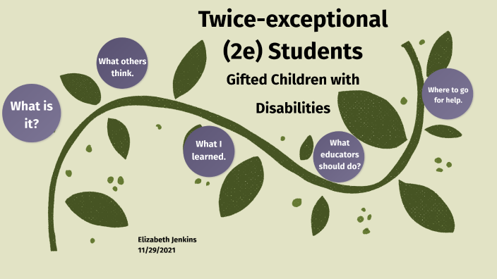 Twice-exceptional (2e) Gifted Children with Disabilities by Elizabeth ...