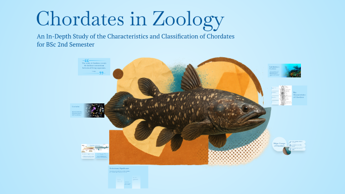 Chordates in Zoology by Shivakumar KN KN on Prezi