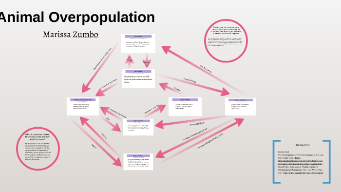 Animal Overpopulation by Marissa Zumbo on Prezi